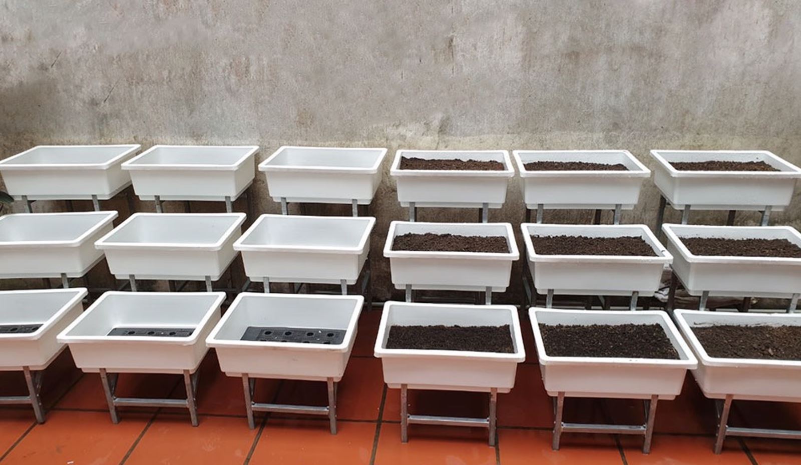 Kệ bậc thang 3 tầng trồng rau cỡ đại - Trồng Rau Đô Thị